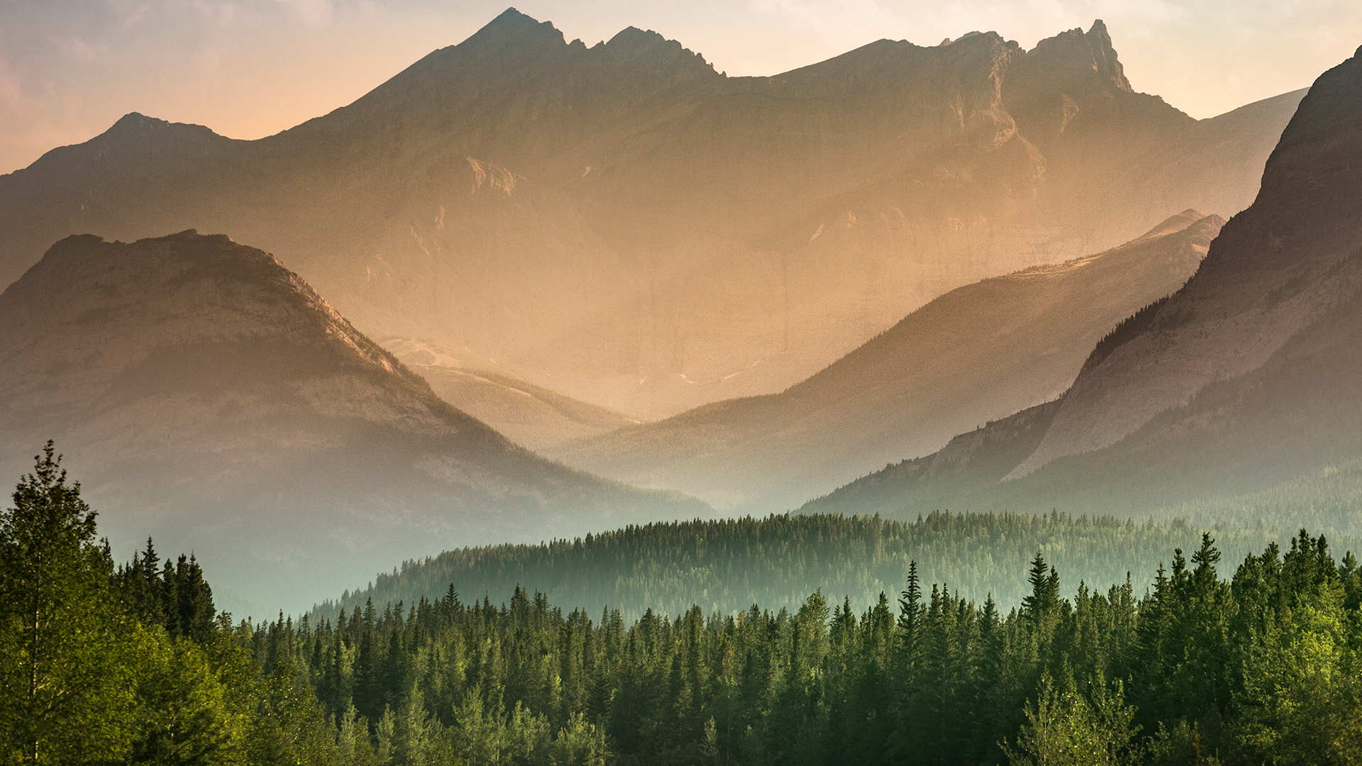 Breaking new ground: First Sentier Group's journey to an integrated ...