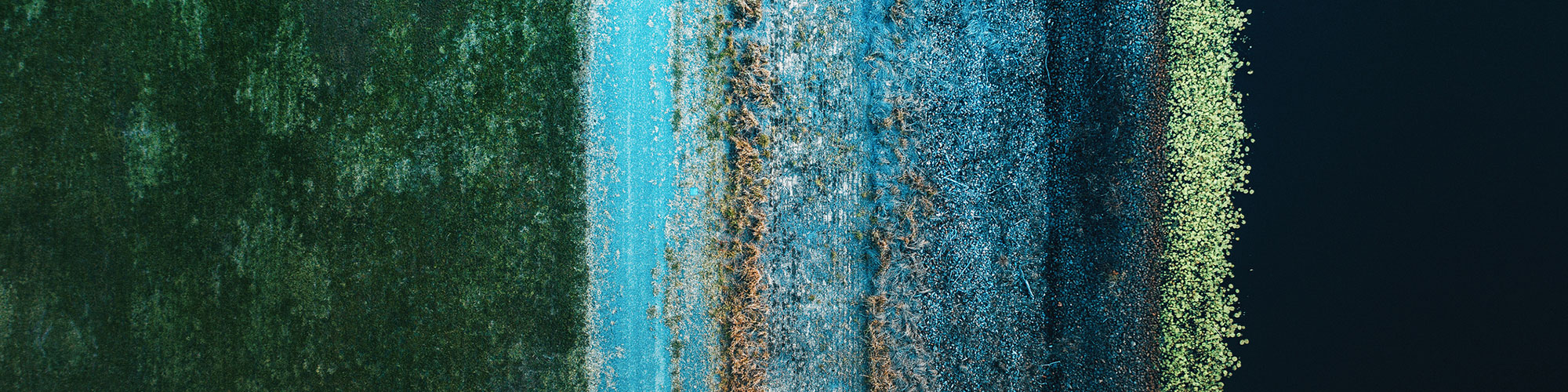 SFDR Level 1 Reporting