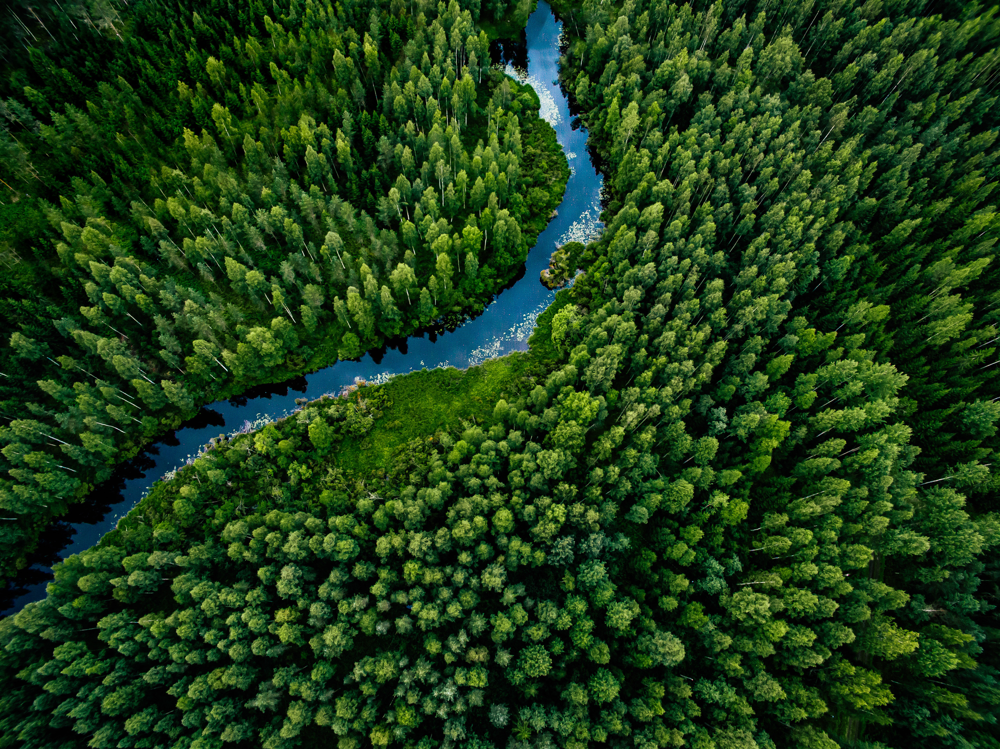 The state of nature-related disclosures in high-risk sectors