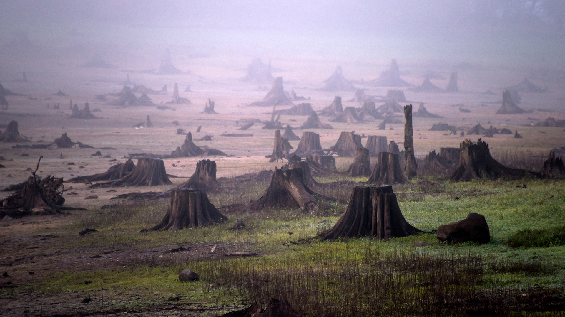 Nature and biodiversity | First Sentier Investors