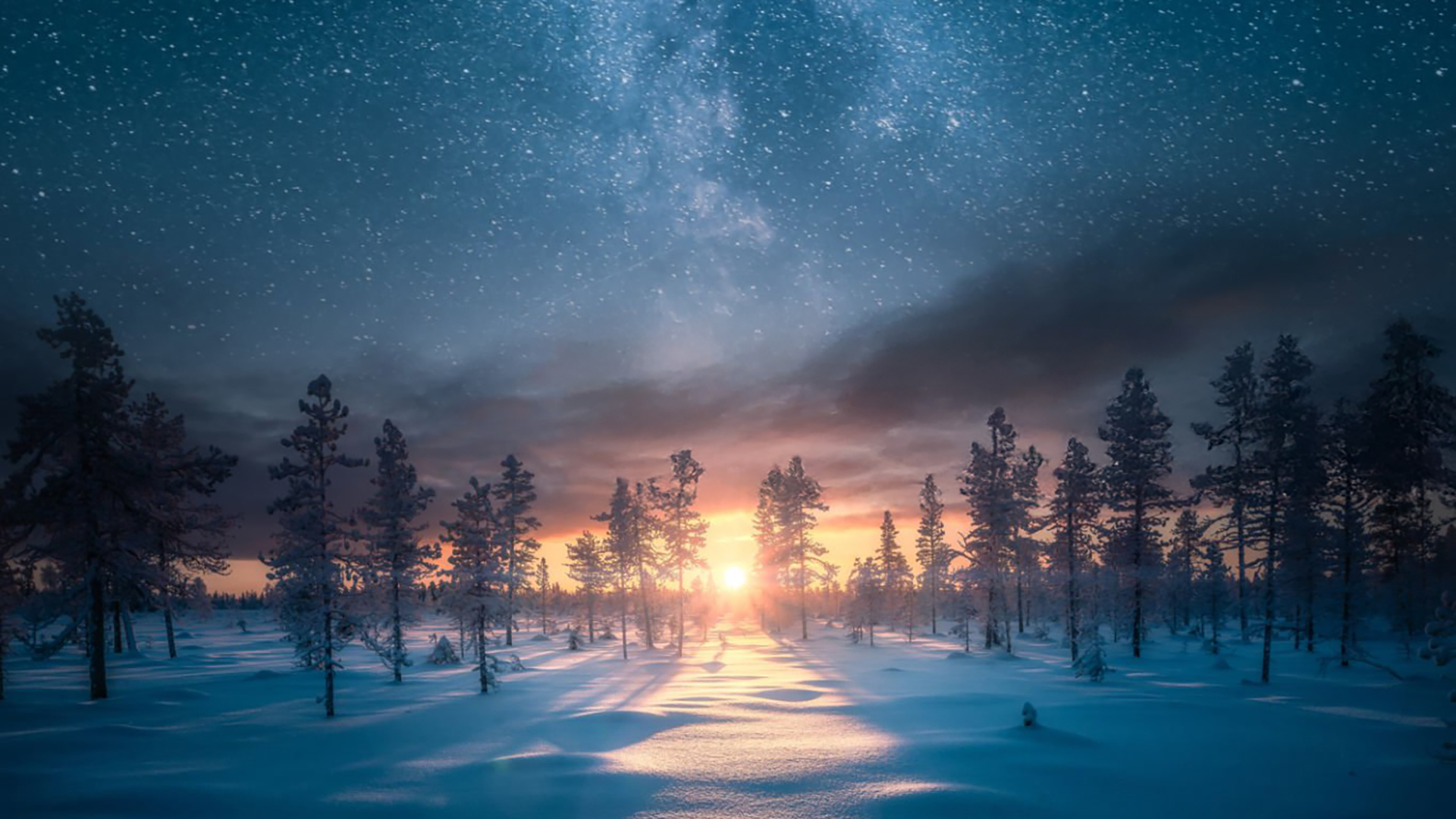 Lessons from the Quant Winter