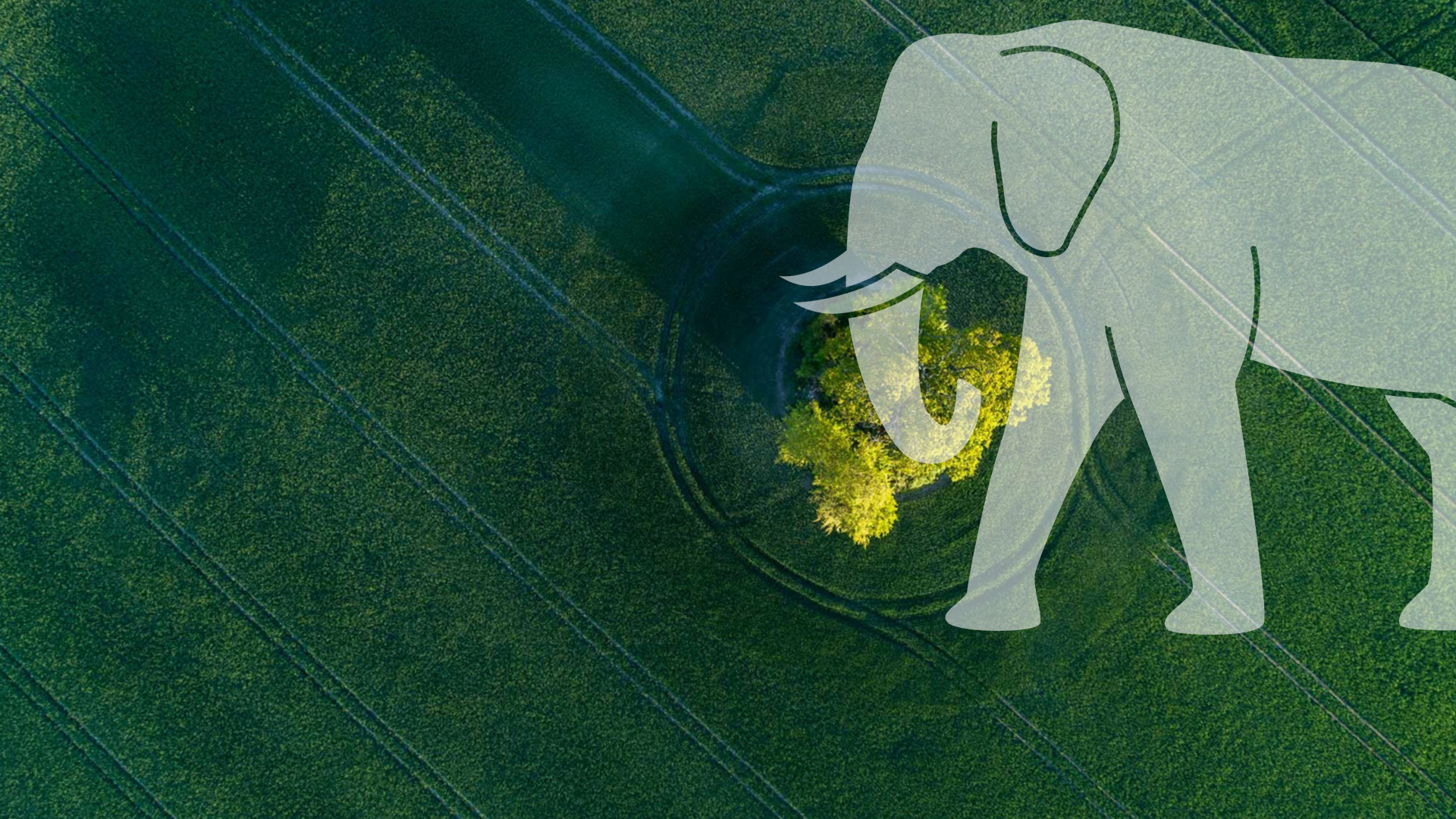 Investment strategies and funds - First Sentier Investors