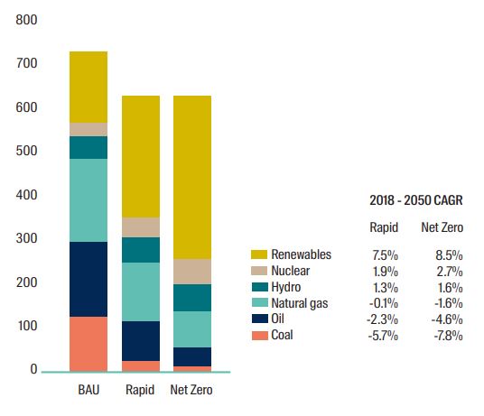 A path to Net Zero