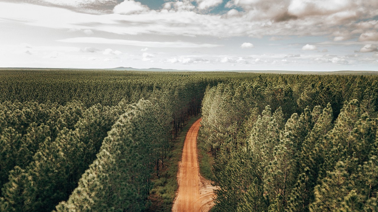 Responsible Investment | Australian Fixed Income | First Sentier Investors